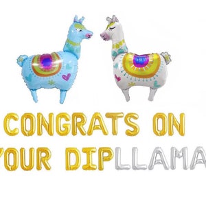 Graduation Party Decorations Graduation Fiesta Llama Grad High - Etsy