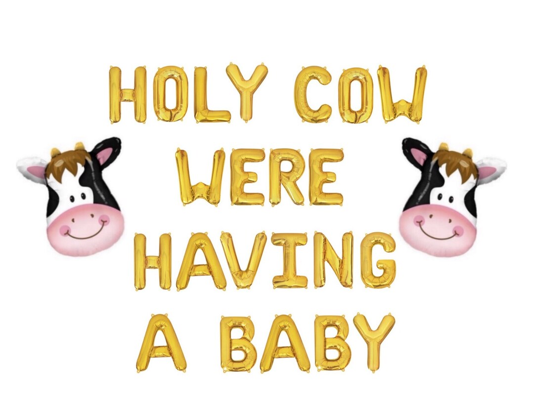 Holy Cow We're Having a Baby Balloon Banner Birthday Cow - Etsy