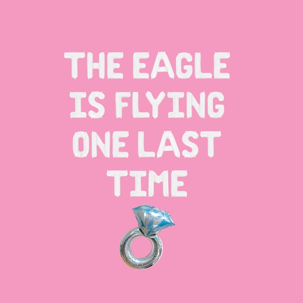 Princess Diaries Themed Bachelorette Party - Etsy