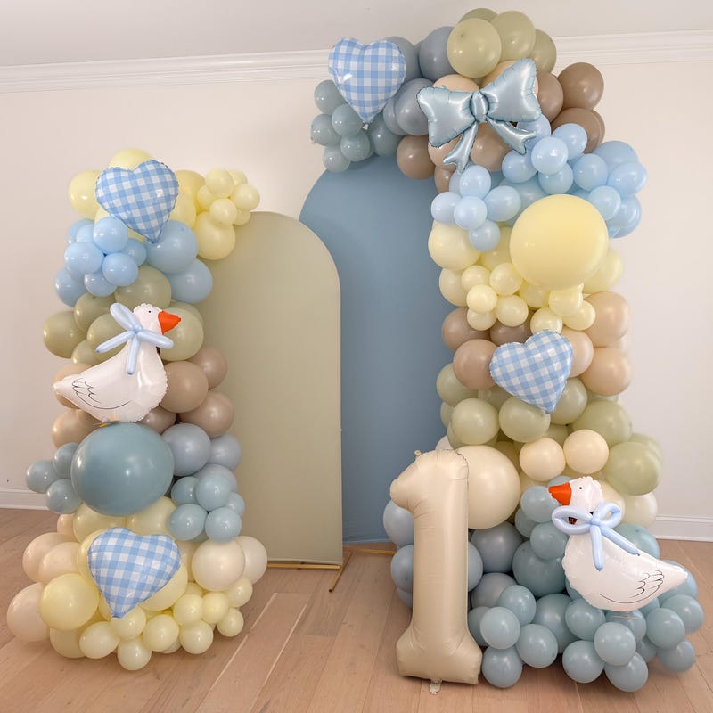 Silly Goose Birthday Party - Etsy