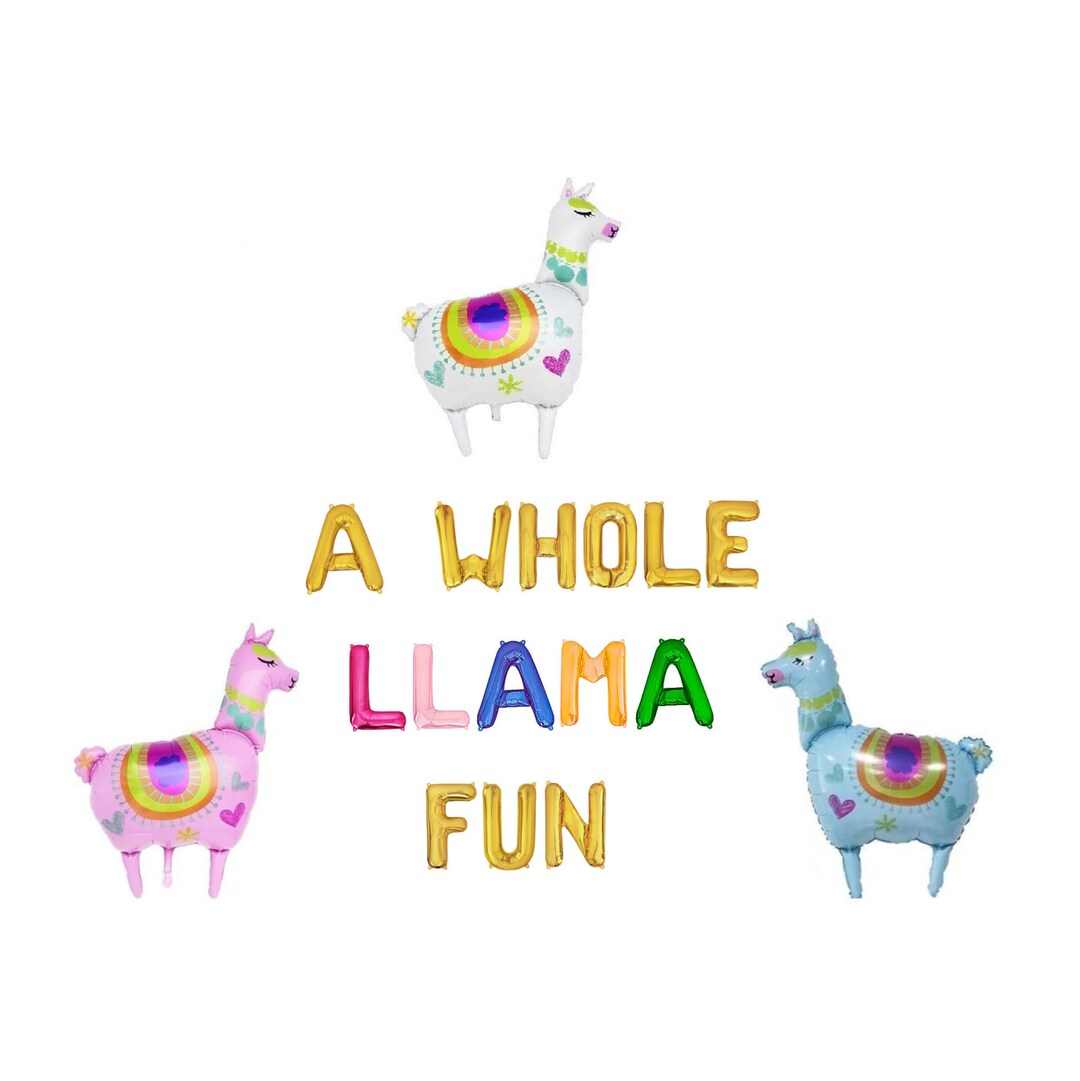 A Whole Llama Fun Letter Balloon Kit Birthday Party Balloon Banner ...