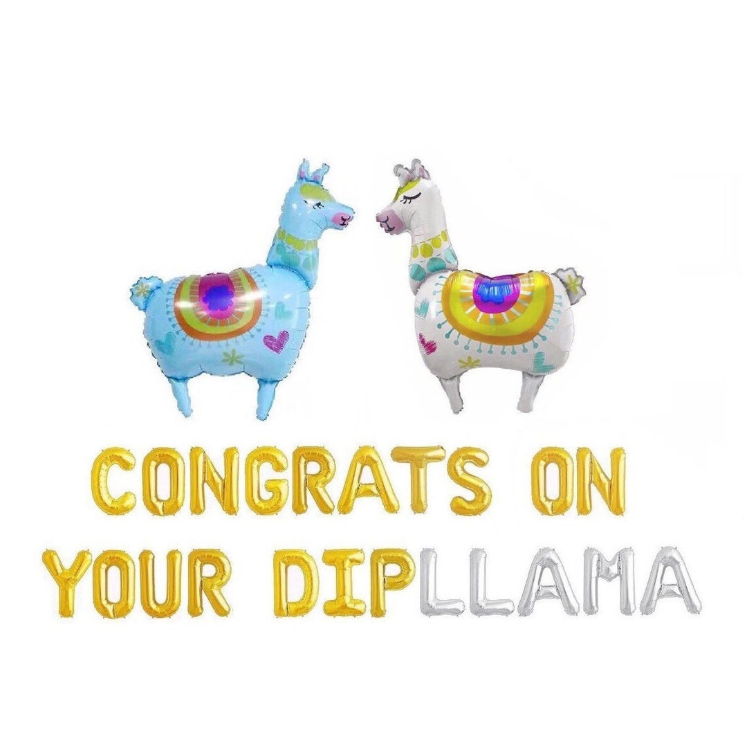 Graduation Party Decorations Graduation Fiesta Llama Grad High School ...