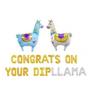 Graduation Party Decorations Graduation Fiesta Llama Grad High School ...