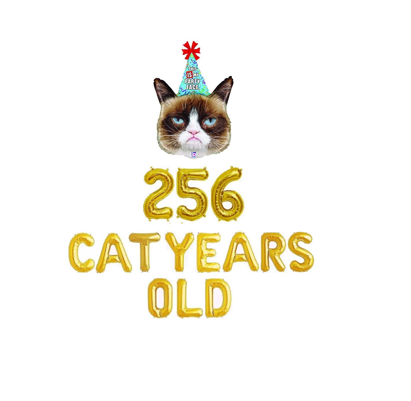 60th Birthday Party Decorations Cat Birthday Party Cat Themed | Etsy