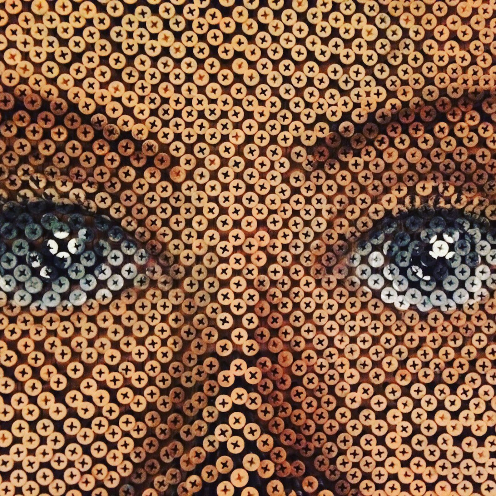 SCREW ART! => Have Your Design, Portrait, Logo, or Picture Made Into ...