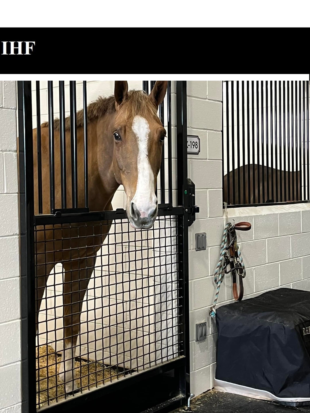 Pkg Horse Stall Valance Trunk Cover, Show & Go Horse Stall Package, 10 ...