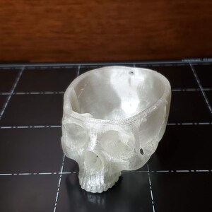 Mini Hanging Skull Planter - Etsy