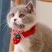 Handmade Fish Cat Collar Knit Star Cat Collar Tie up Pet - Etsy