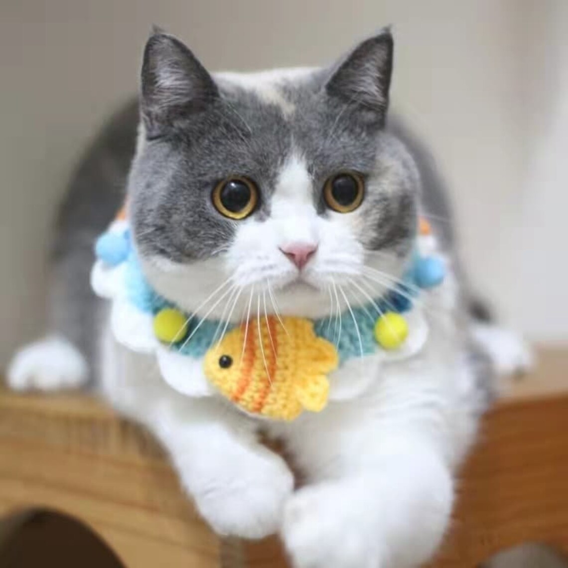 Handmade Fish Cat Collar Knit Star Cat Collar Tie up Pet Collar Crochet ...