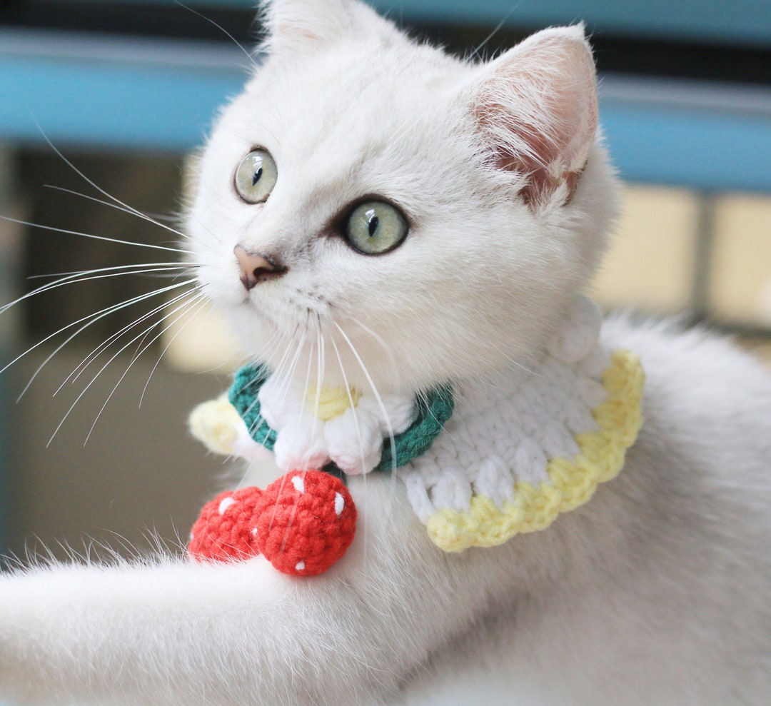 Outlets Strawberry Collar Cat Collar Handmade Pet Collar Dog Collar ...