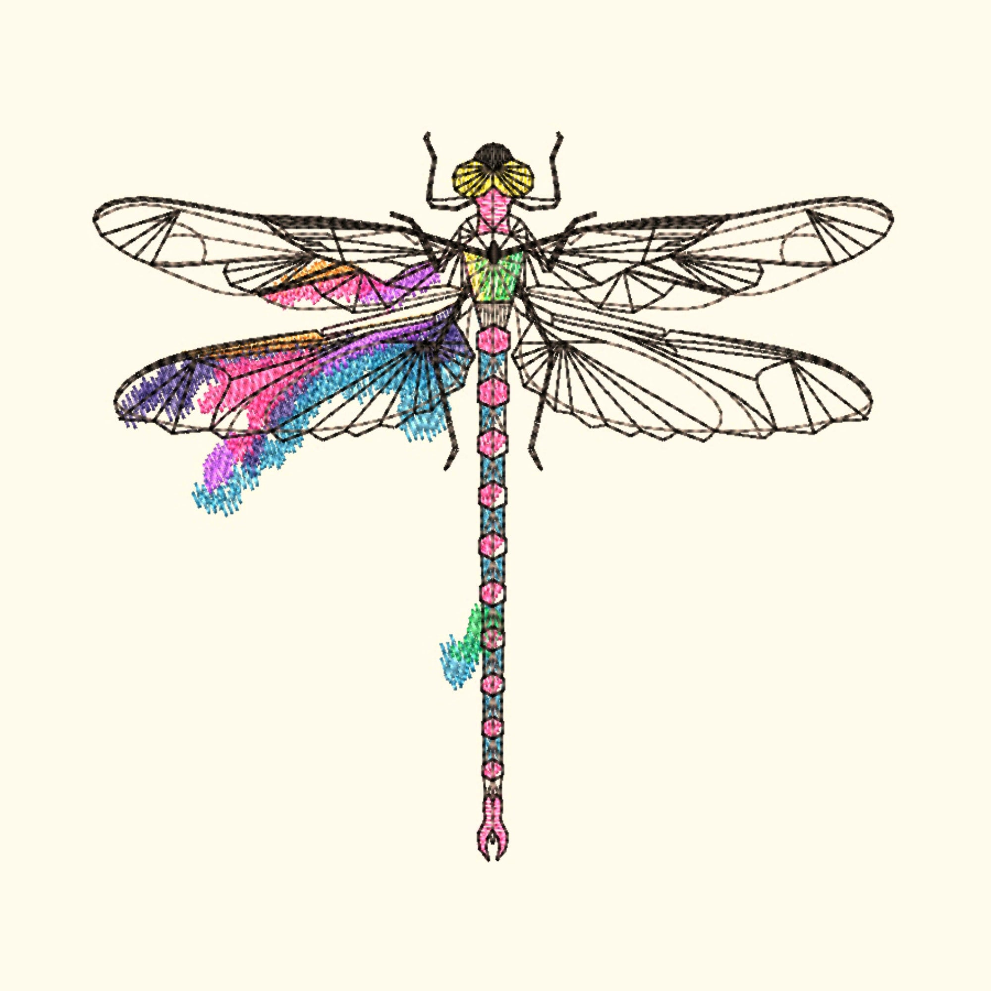 Embroidery Designs Dragonfly Embroidery Design Rainbow - Etsy