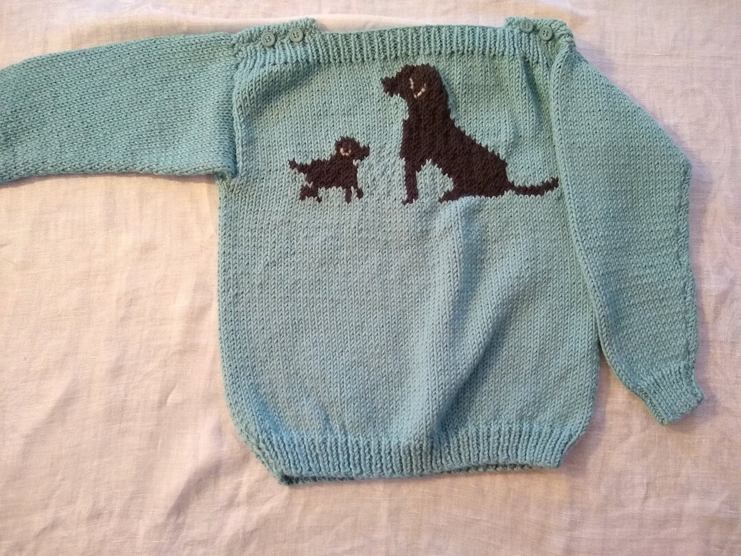 Parent and Baby Labrador Retriever Childrens Sweater - Etsy