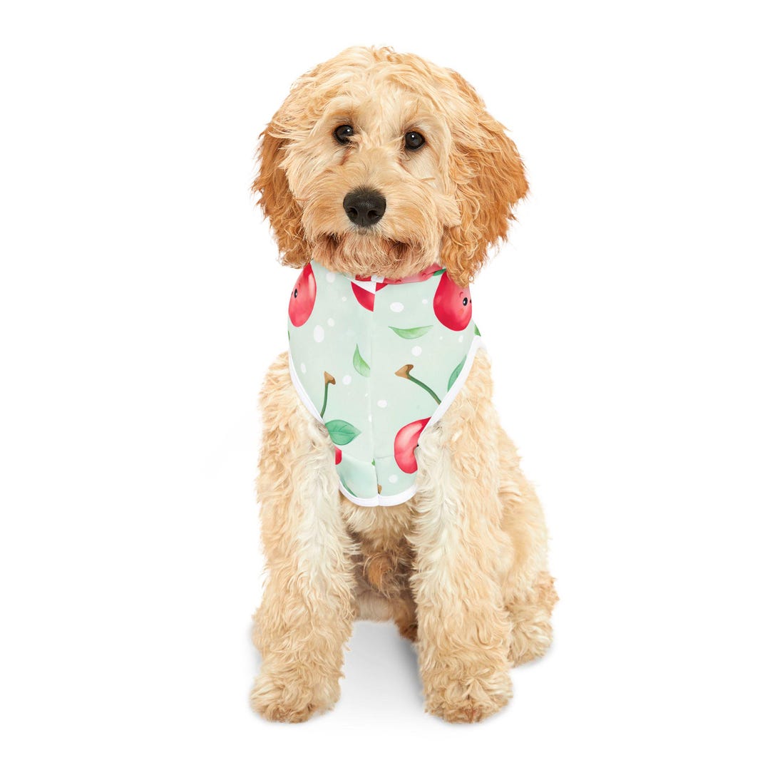 Cherry Pet Hoodie, Cute Fruit Pattern Puppy Sweatshirt, Spring Dog ...