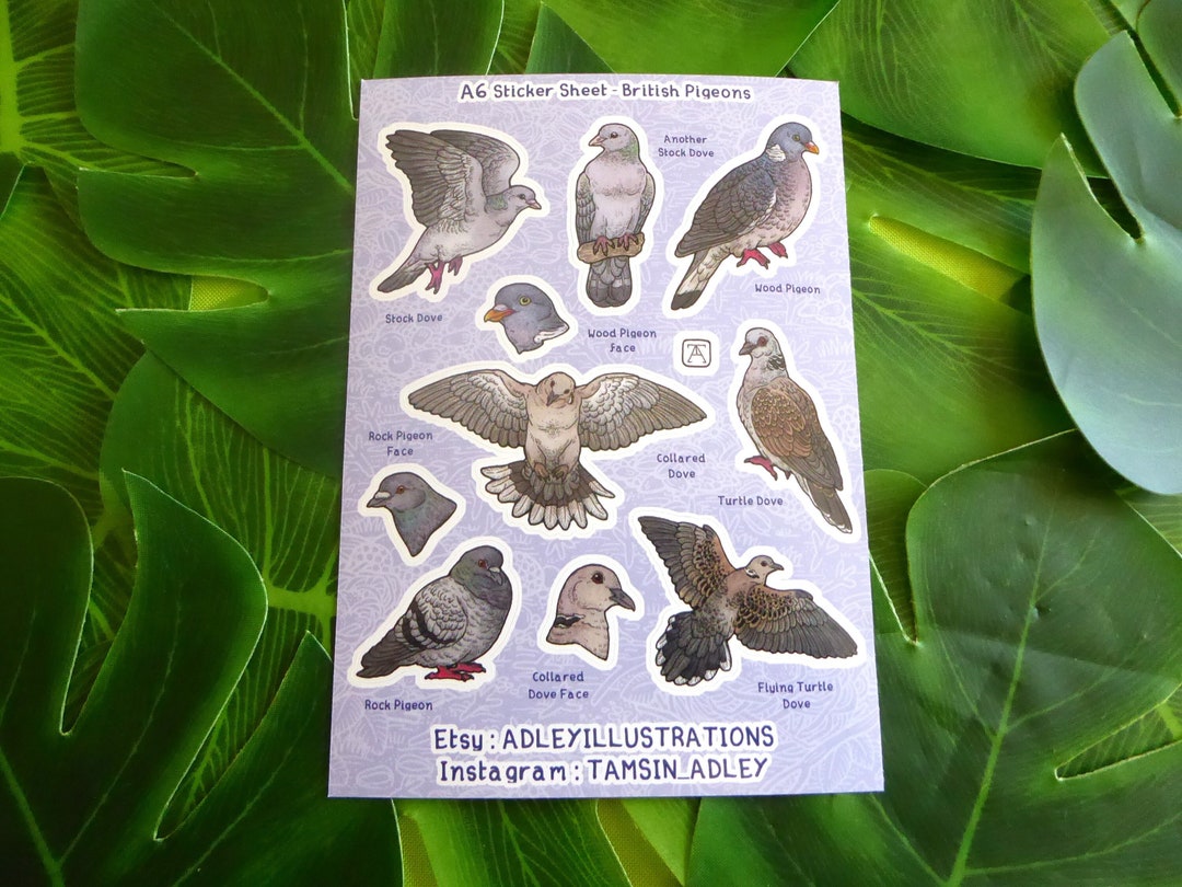 A6 British Pigeons Sticker Sheet - Etsy