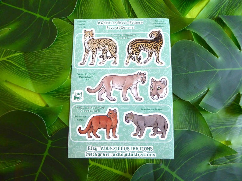 A6 Sticker Sheet Deal - All Felidae Stickers - Etsy UK