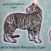 A6 Tiger Colours Sticker Sheet - Etsy