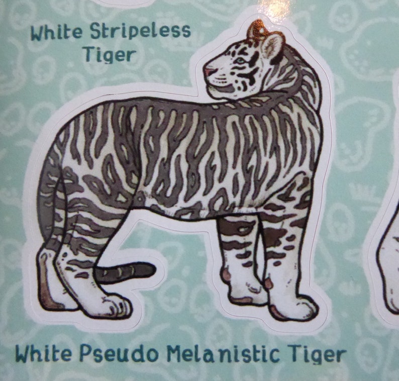 A6 Tiger Colours Sticker Sheet - Etsy