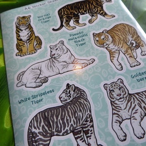 A6 Tiger Colours Sticker Sheet - Etsy