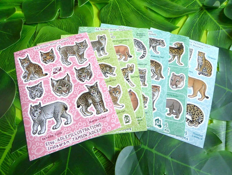 A6 Sticker Sheet Deal - All Felidae Stickers - Etsy UK