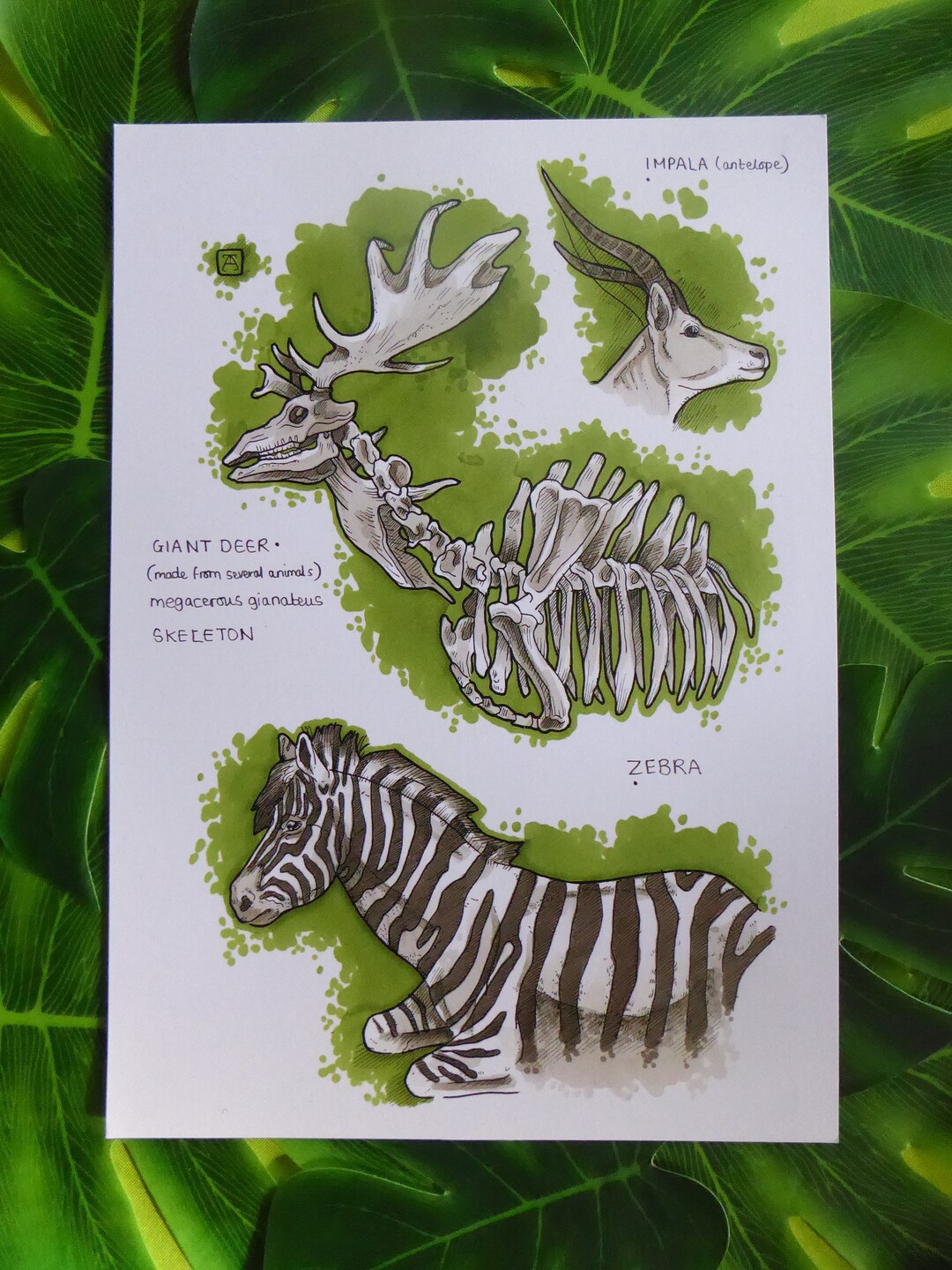 A4 Digital Deer Skeleton Print - Etsy