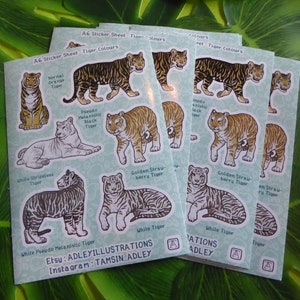 A6 Tiger Colours Sticker Sheet - Etsy