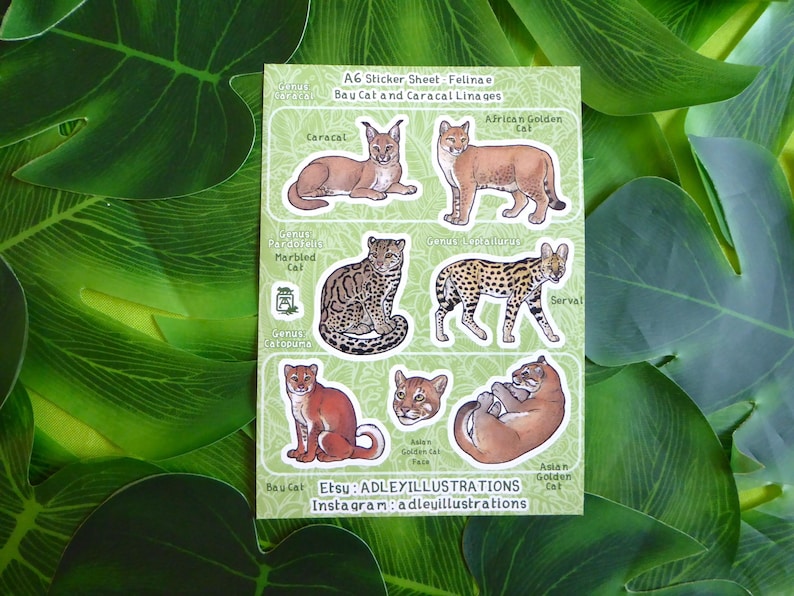 A6 Sticker Sheet Deal - All Felidae Stickers - Etsy UK