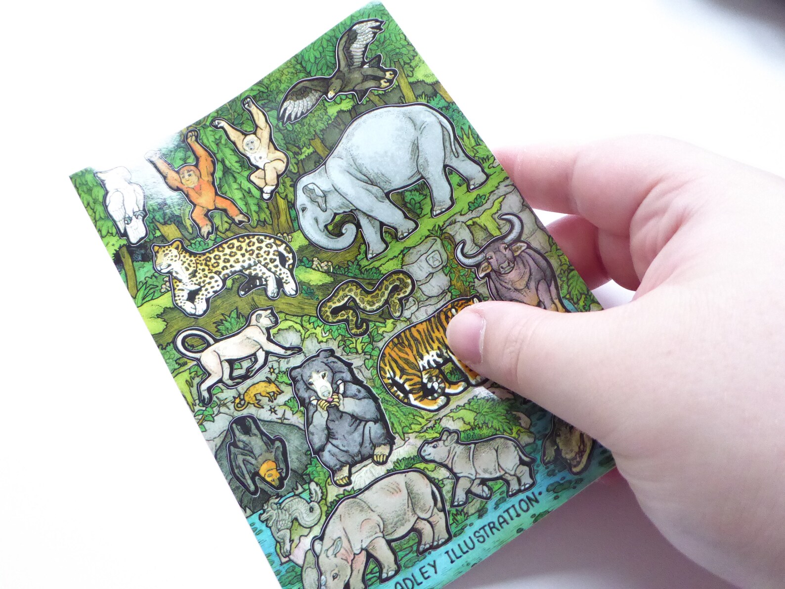 A6 Asian Jungle Sticker Sheet - Etsy