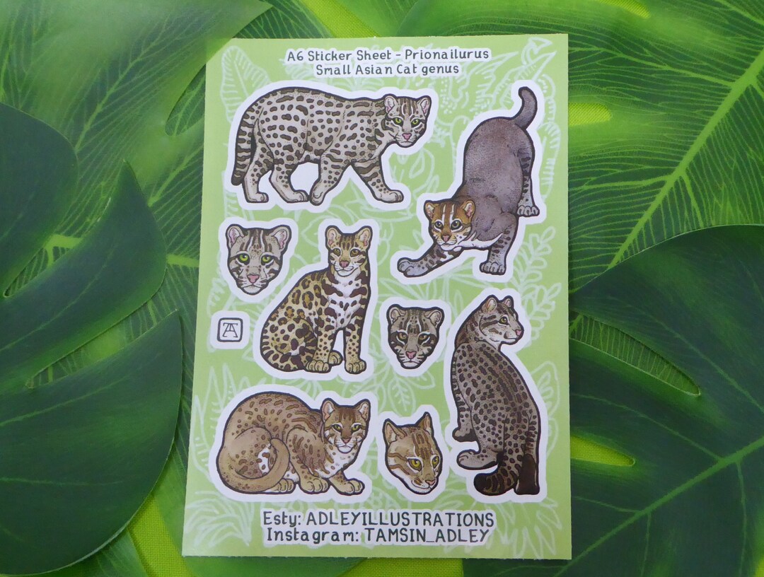 A6 Small Asian Cats Sticker Sheet - Etsy