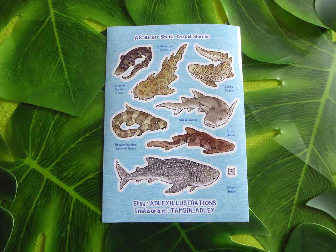 A6 Carpet Sharks Sticker Sheet - Etsy