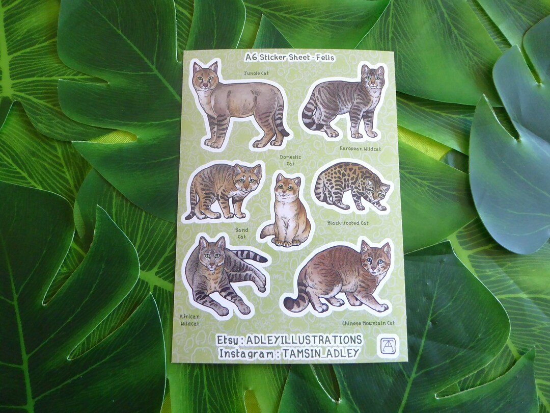 A6 Wild Cats Genus Felis Sticker Sheet - Etsy