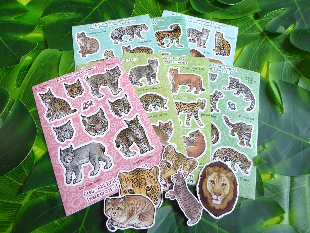 A6 Sticker Sheet Deal - All Felidae Stickers - Etsy UK