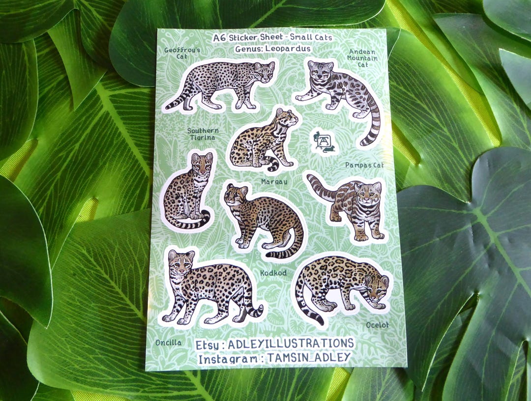 A6 Sticker Sheet - Small Wild Cats Genus Leopardus - Etsy