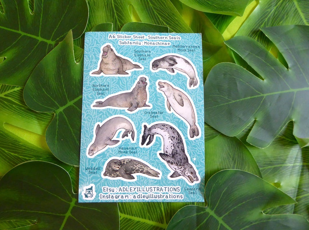 A6 Southern Seals Sticker Sheet - Etsy