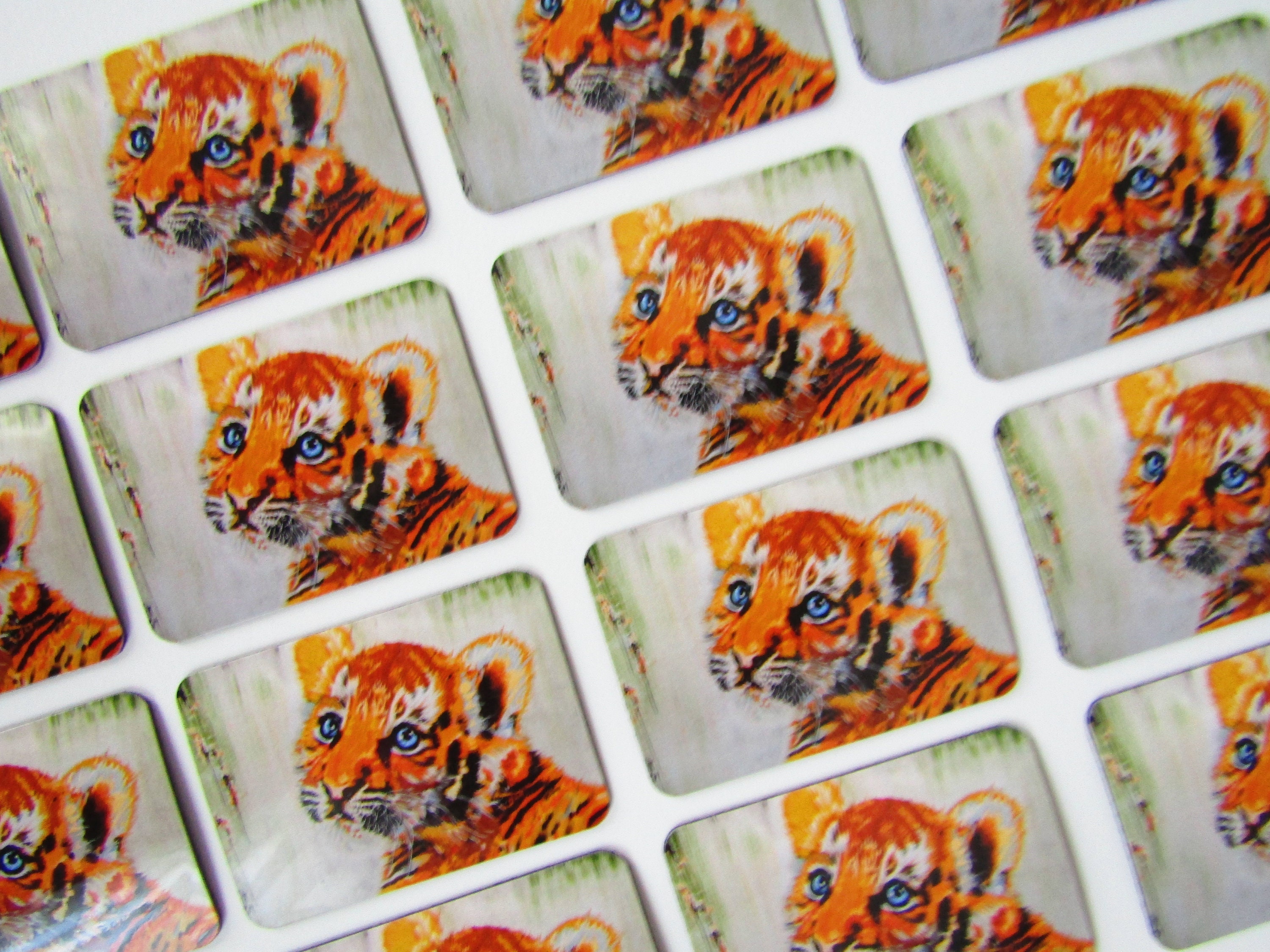 Decorative Magnets With Tiger, Tiger Magnets, Fridge Magnets ...