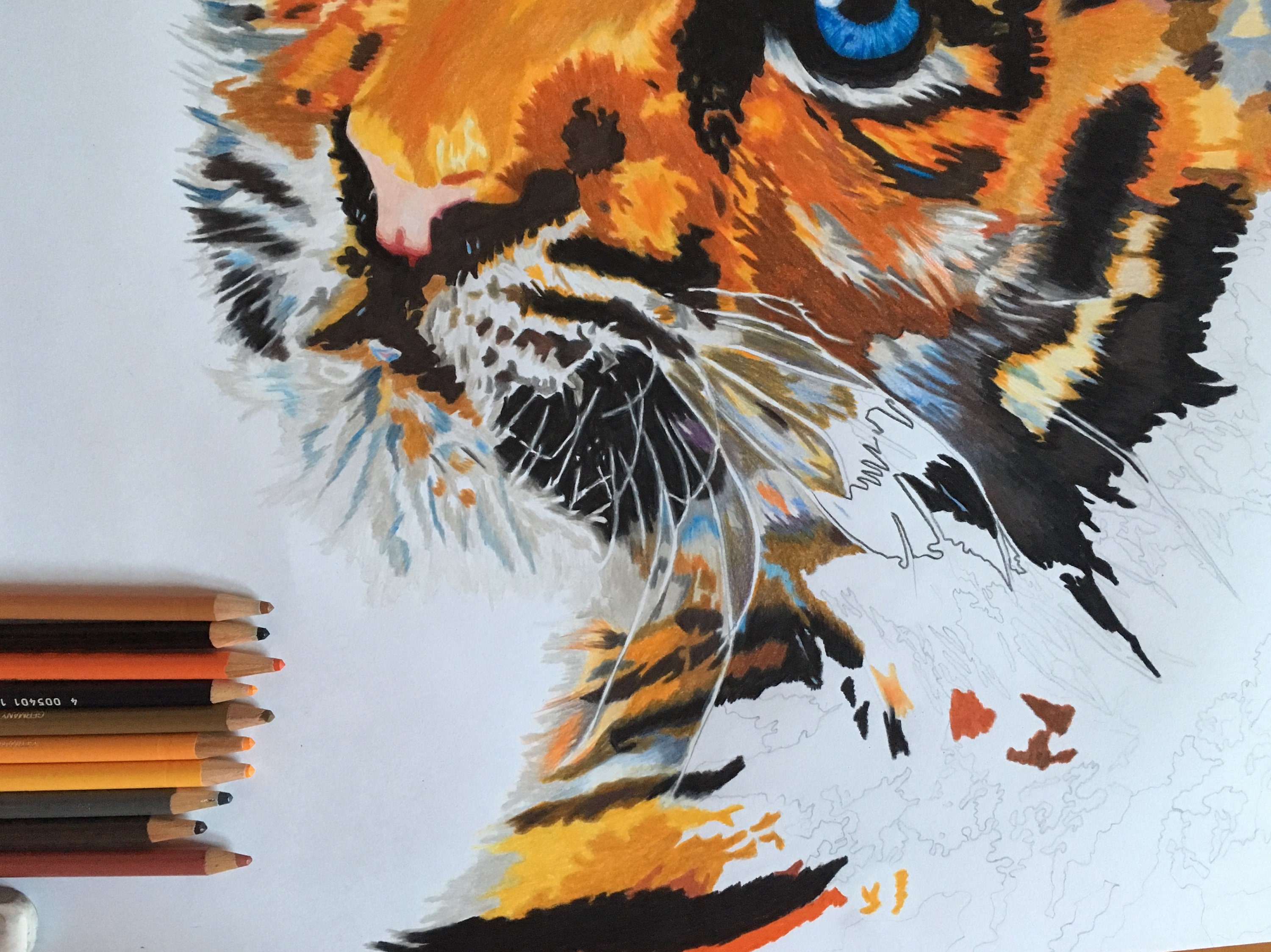 Decorative Magnets With Tiger Tiger Magnets Fridge Magnets - Etsy