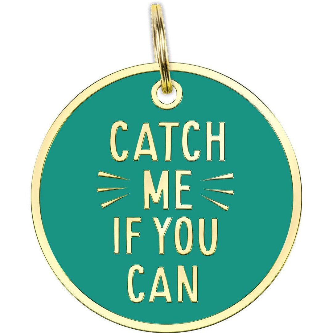 Dog/cat Collar Charm Tag Catch Me If You Can - Etsy