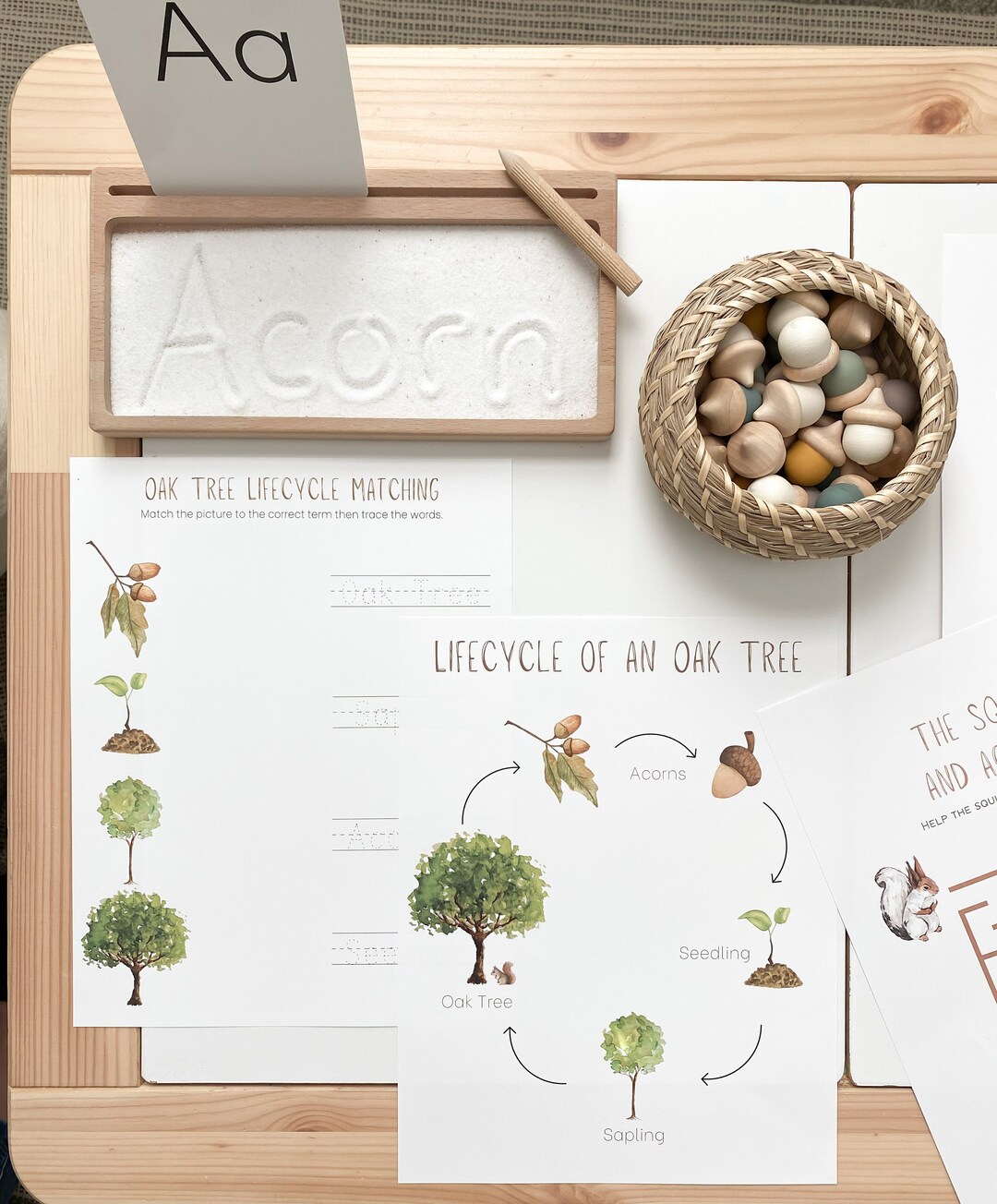 Acorn Unit Study Activity Pack Printable Worksheets - Etsy