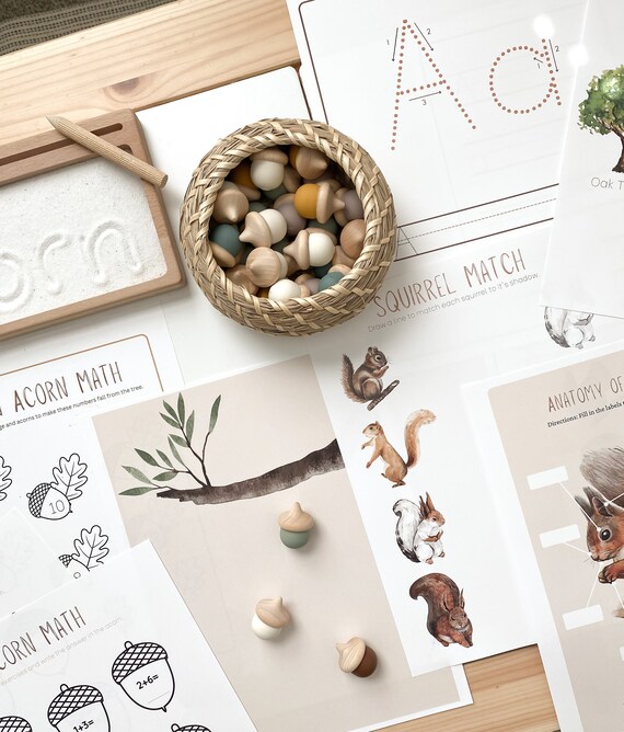 Acorn Unit Study Activity Pack Printable Worksheets - Etsy