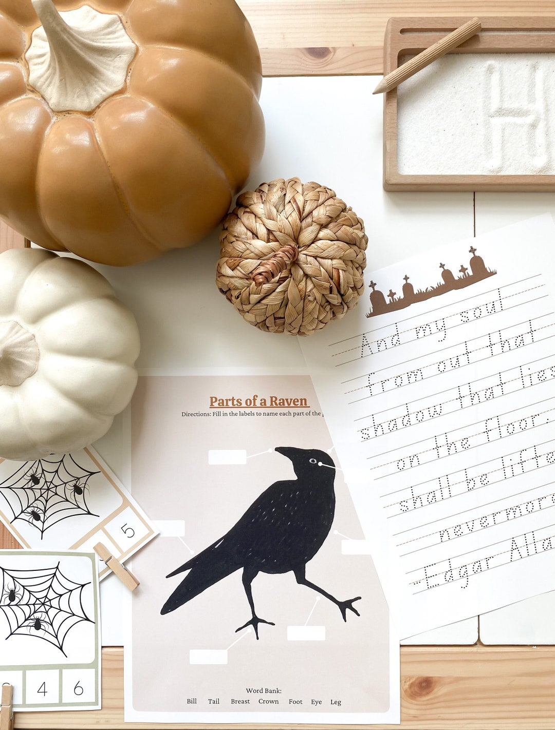Halloween Activity Unit Study Printable - Etsy