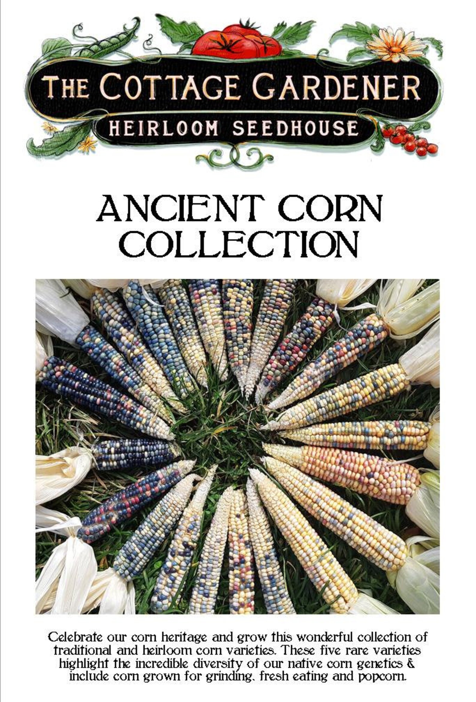 Ancient Corn Collection - Etsy Canada