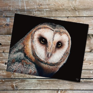 Barn Owl Original Art Print Set of Three - Etsy