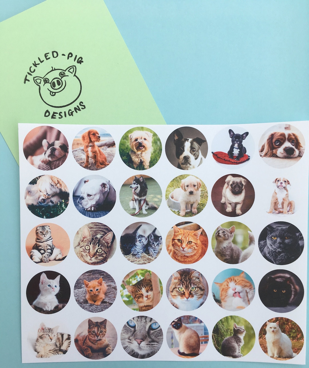 Freestyle Libre 1 & 2 Sensor Stickers X6 Cats and Dogs - Etsy