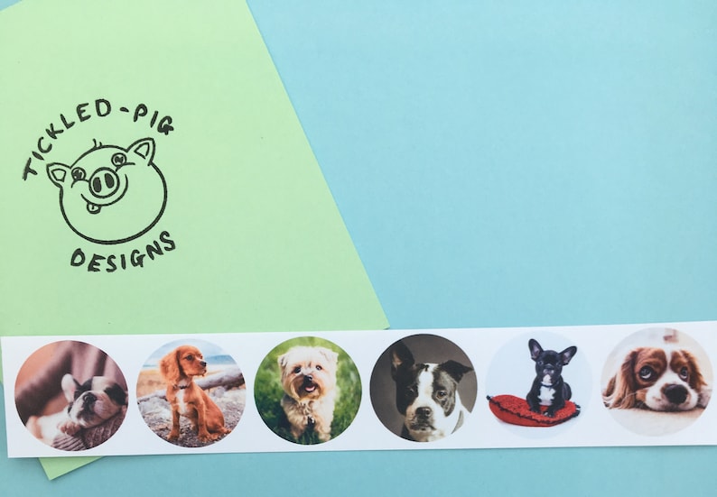 Freestyle Libre Sensor Stickers X6 Cats & Dogs - Etsy Canada
