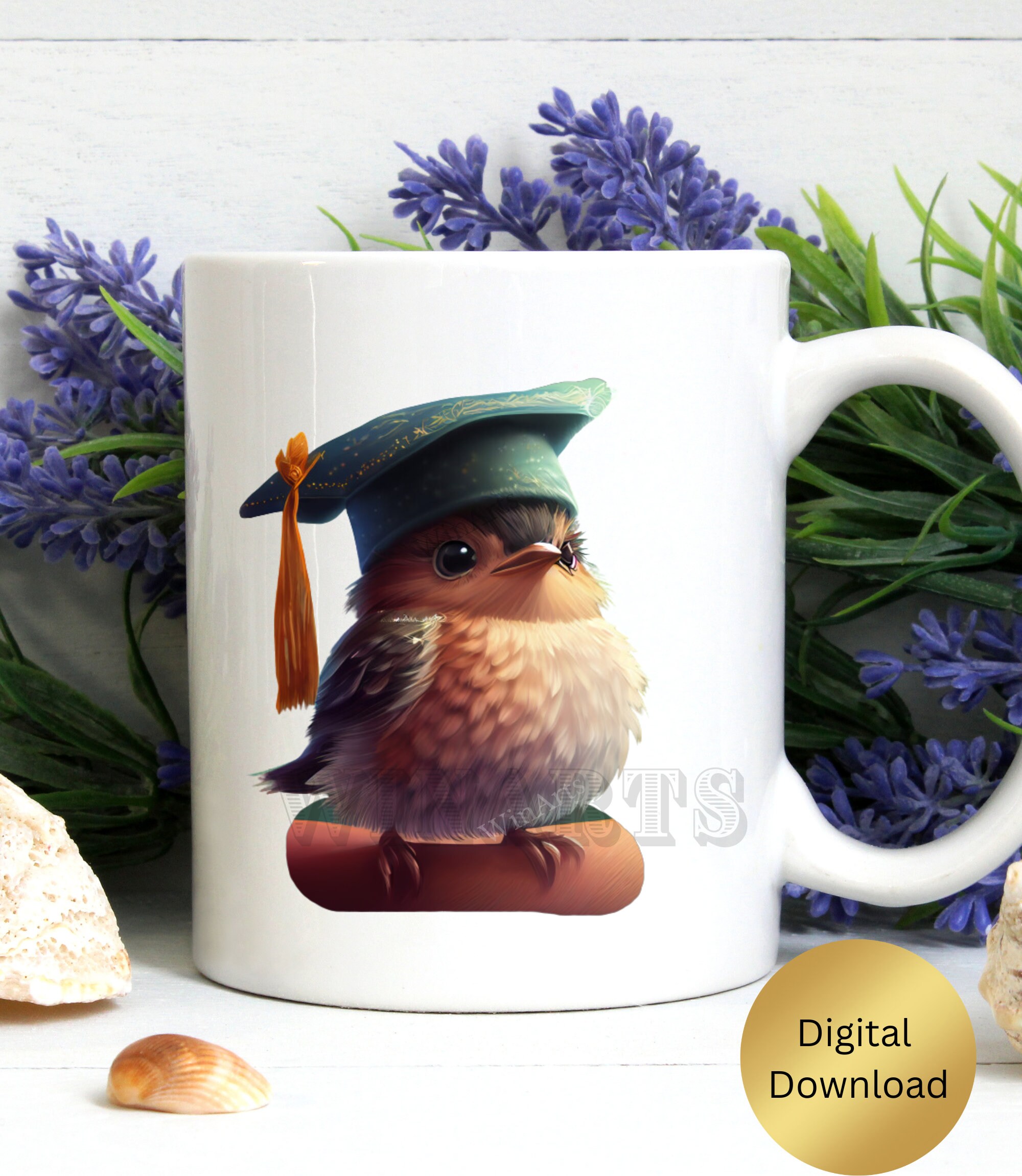 Cute Bird With Graduation Hat Clipart Transparent Background Printable ...