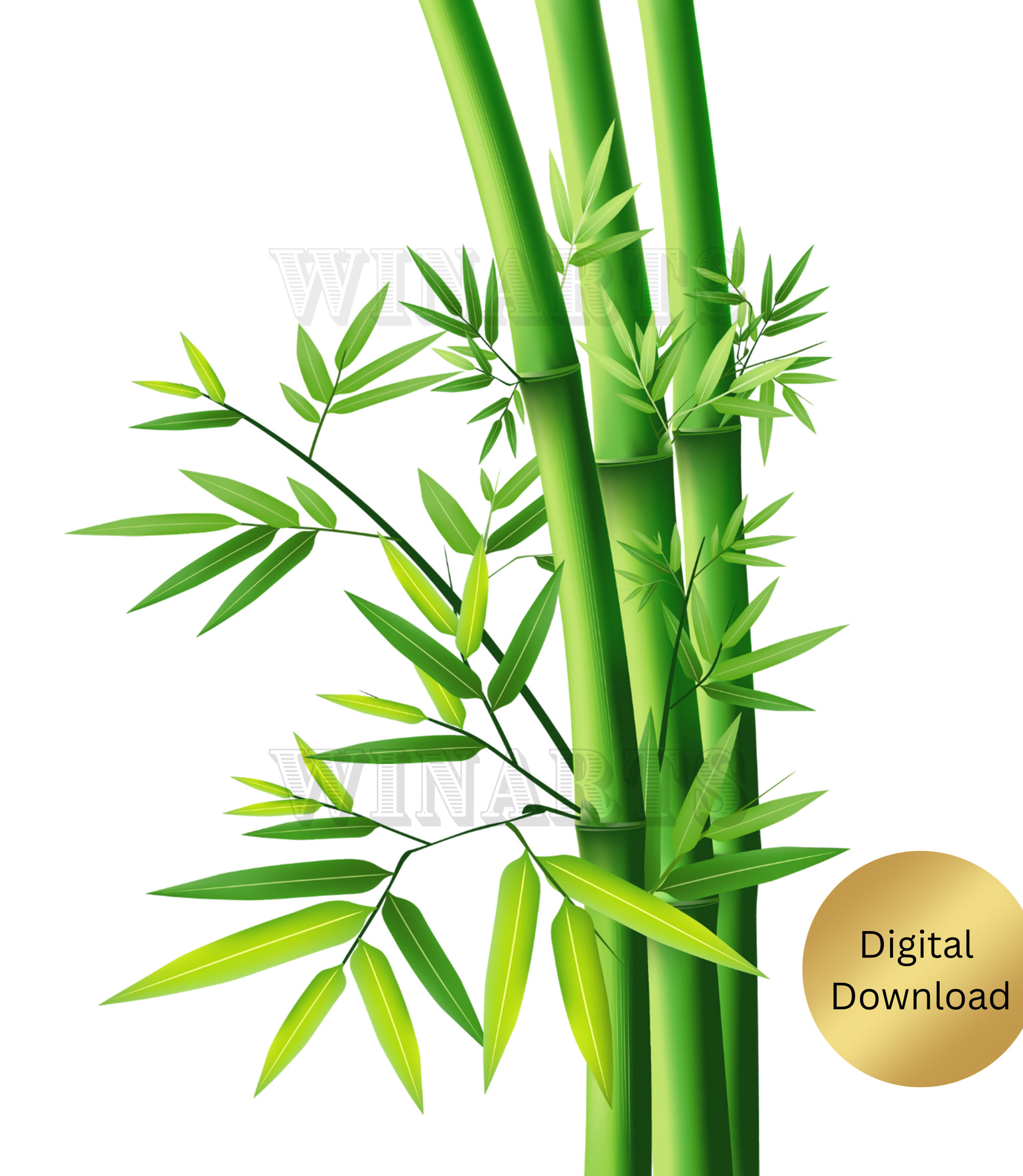 Bamboo Trees Png