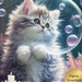 Cat Wall Art Cute Kitten Cat Playing With Bubbles Printable, Nursery ...