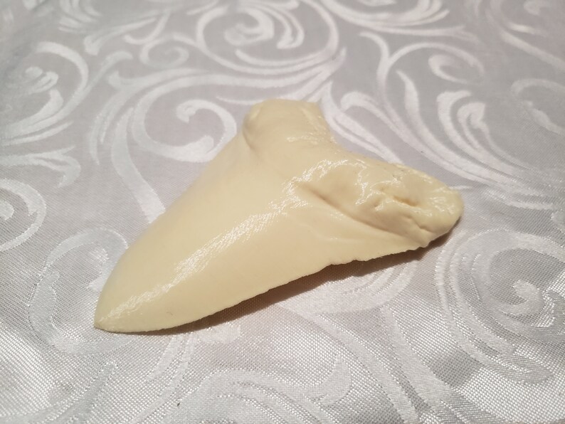 Megalodon Tooth 5 Inches 3D Printed - Etsy