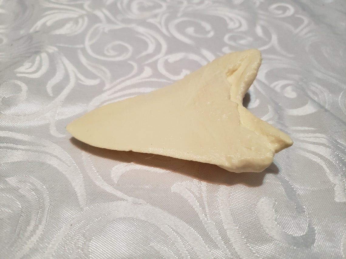 Megalodon Tooth 5 Inches 3D Printed - Etsy