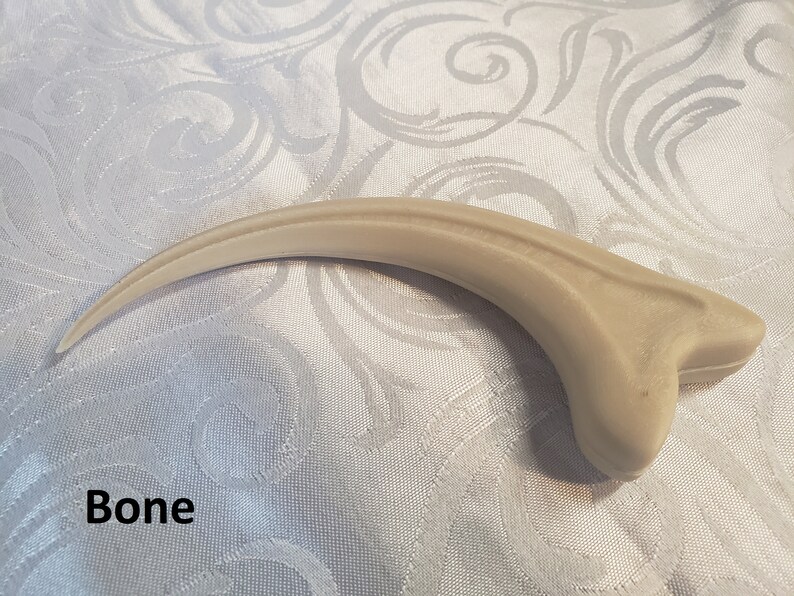 Raptor Claw 6 Inches Long - Etsy Canada