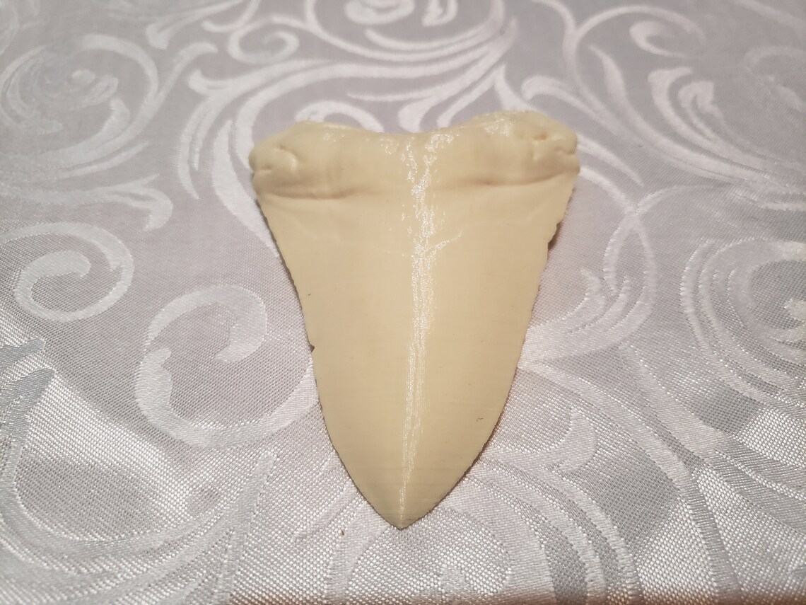 Megalodon Tooth 5 Inches 3D Printed - Etsy